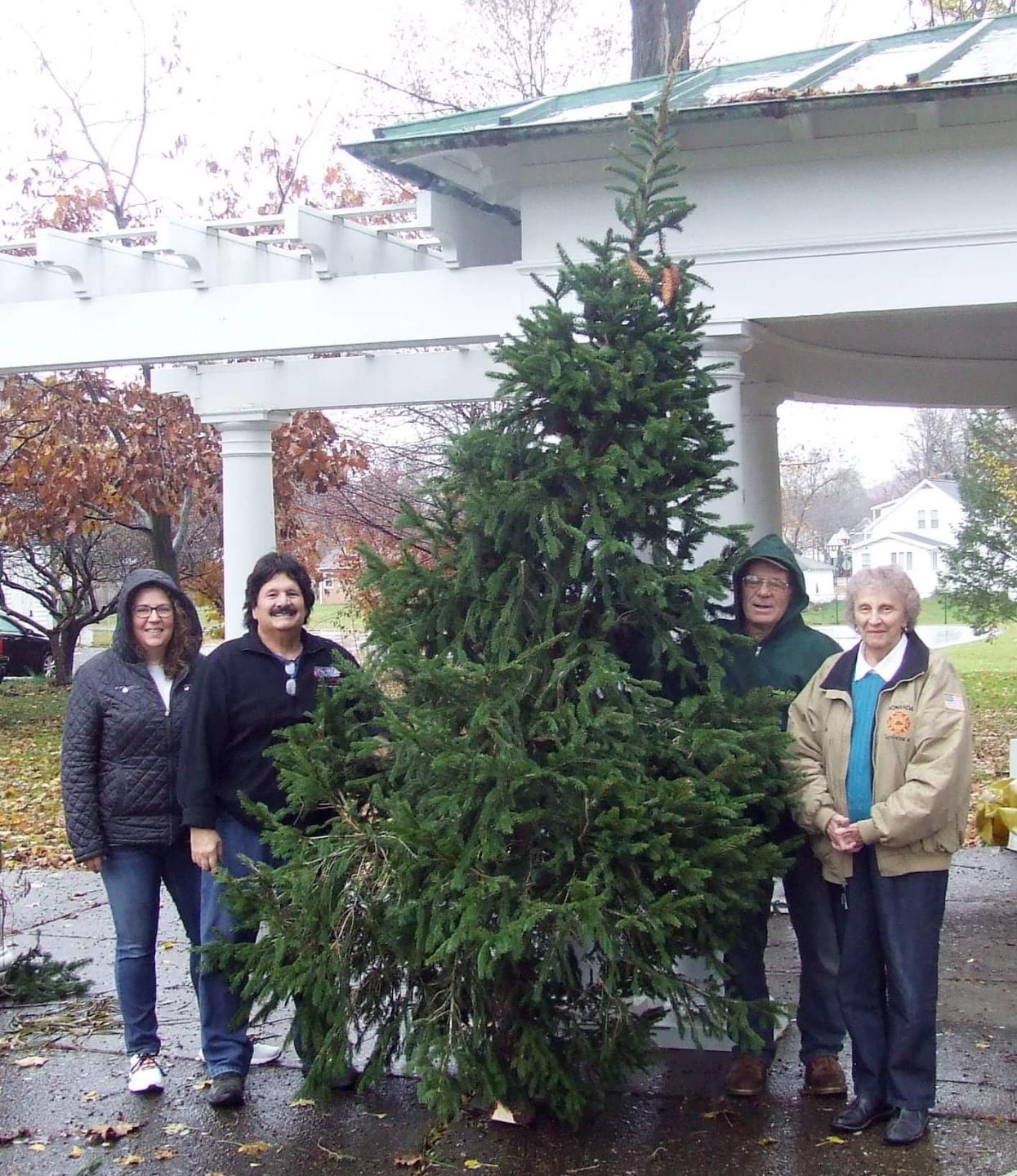 ‘Jovial’ and bright:Tree lighting part of events in Gowanda | News ...